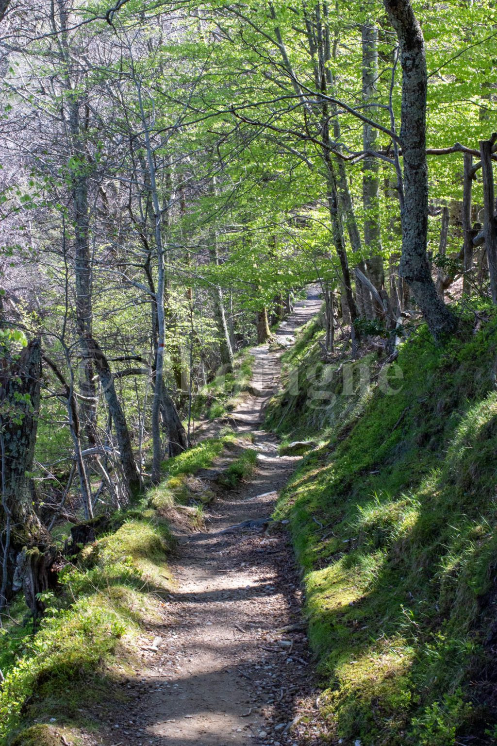 The tour of Monte Matanna • Weekend itinerary • Photagne